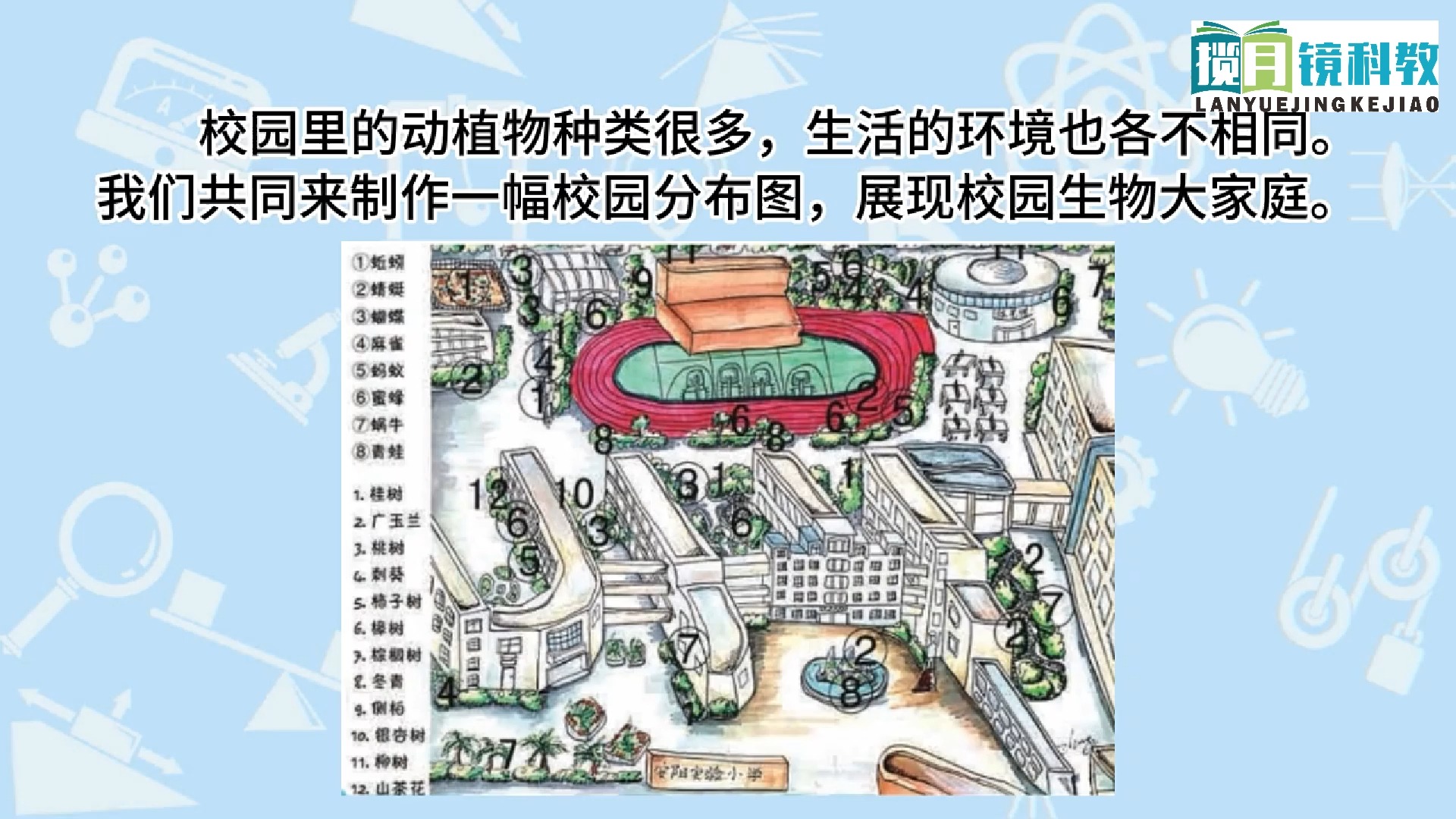 小学教科版科学实验六年级下册--第二单元第二课【2.2.制作校园生物...