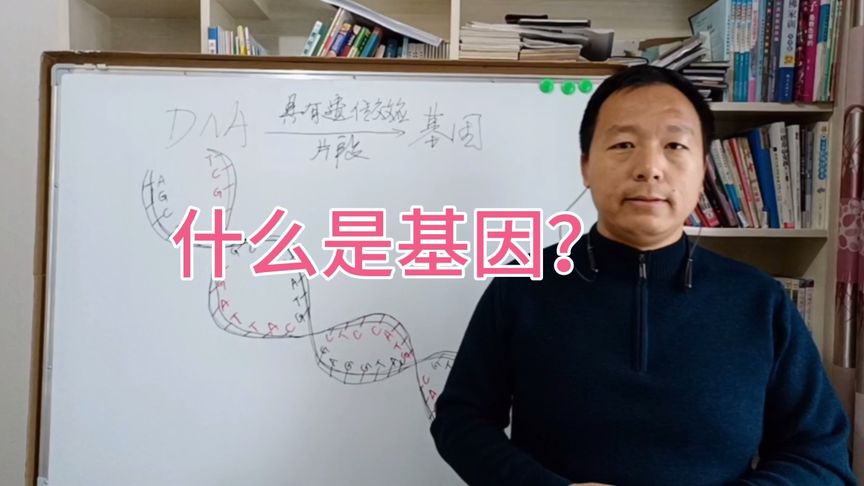 什么是基因?高中三年了,你知道这个概念吗?