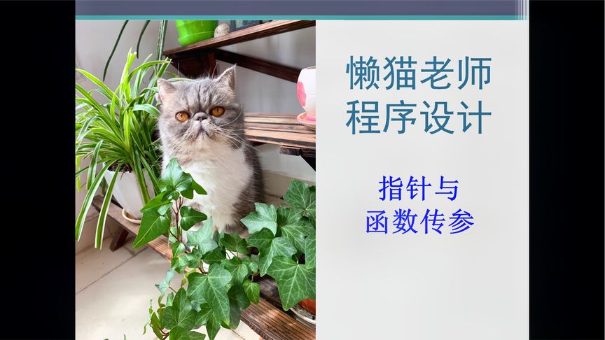 懒猫老师-C语言-07.指针与函数传参