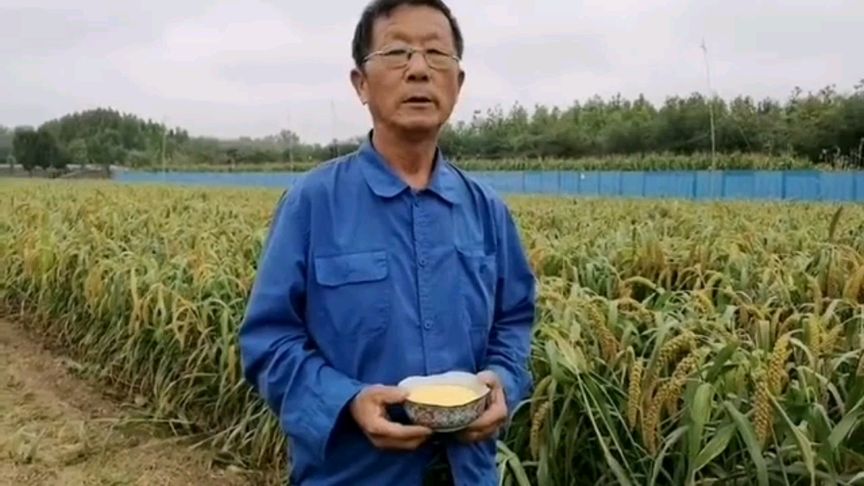 山东聊城苇园村党支部书记亲自宣传苇园小米,为这样的好书记点赞