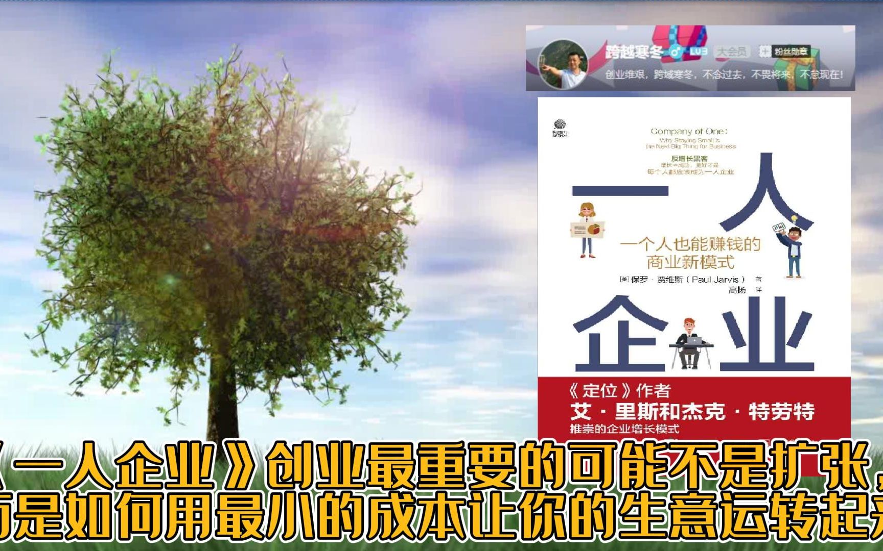 《一人企业》创业最重要的可能不是扩张,而是如何用最小的成本让你...