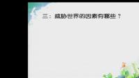 ...版道德与法治九年级下册《推动和平与发展》优质课教学视频+PPT...
