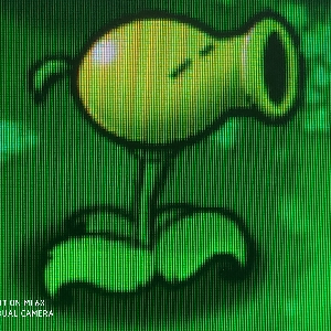 peashooter波光霖霖 