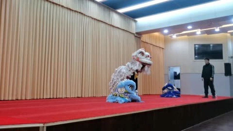 北京天津石家庄舞狮舞旗教学培训年会节目编排出租狮子