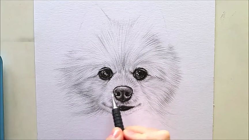 几分钟教你画一只萌萌的博美狗简单教程!