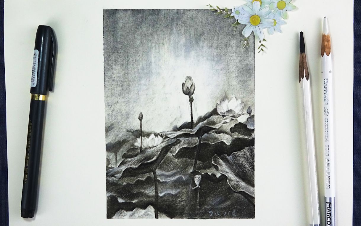 【素描风景教程】荷塘一角