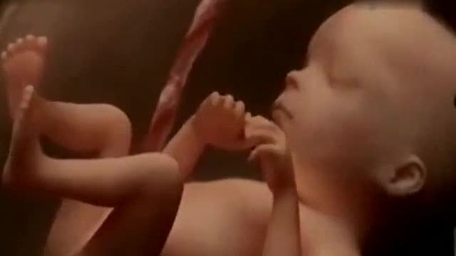 科普:生命的诞生过程,生命伟大而又神奇