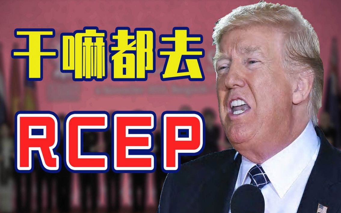 RCEP新变化利好 跨境电商选择多种平台,印尼前五电商平台排行,哪一...