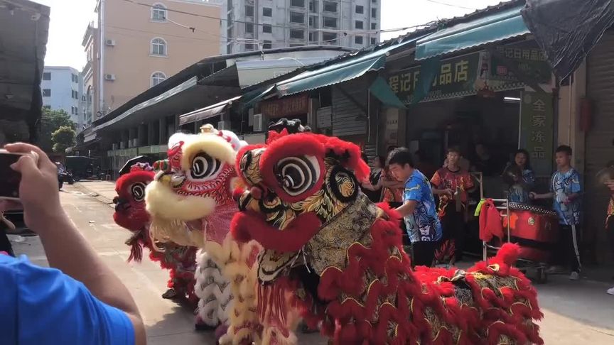 广东传统舞狮表演视频,精彩!