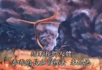 ...HIM在行业中连续8年销量第一?主任医师用动画深入地讲解出它的好处