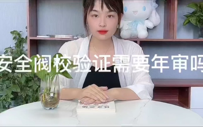 安全阀校验证需要年审吗