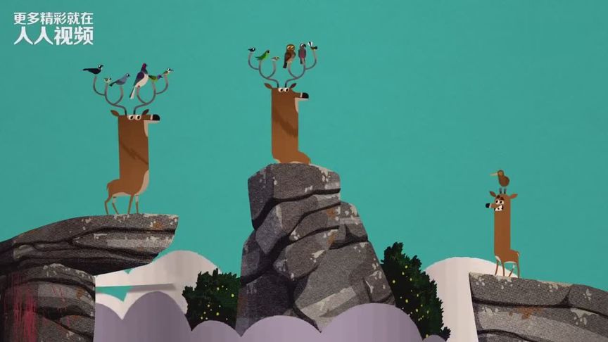 幼年小鹿,森林里的动物音乐会