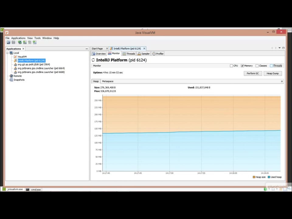 Using VisualVM and VisualGC