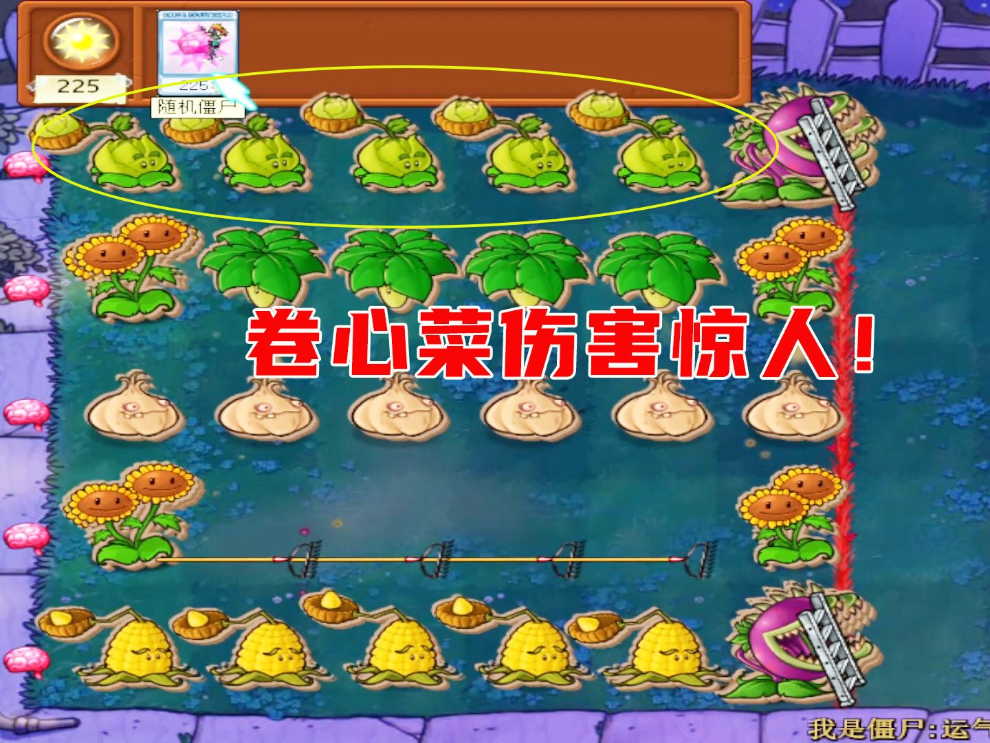 植物大战僵尸:三发卷心菜给我巨人打上绷带了,伤害吓人啊