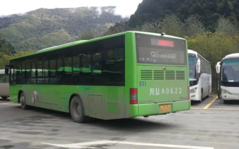[圣洁冰川,多彩黑水,驶往海拔3500米的云端草甸]黑水 达古冰川观光...