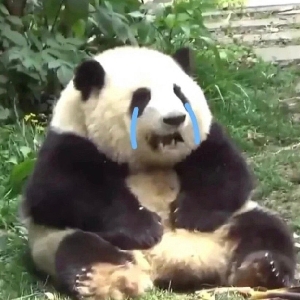 针灸小术士 