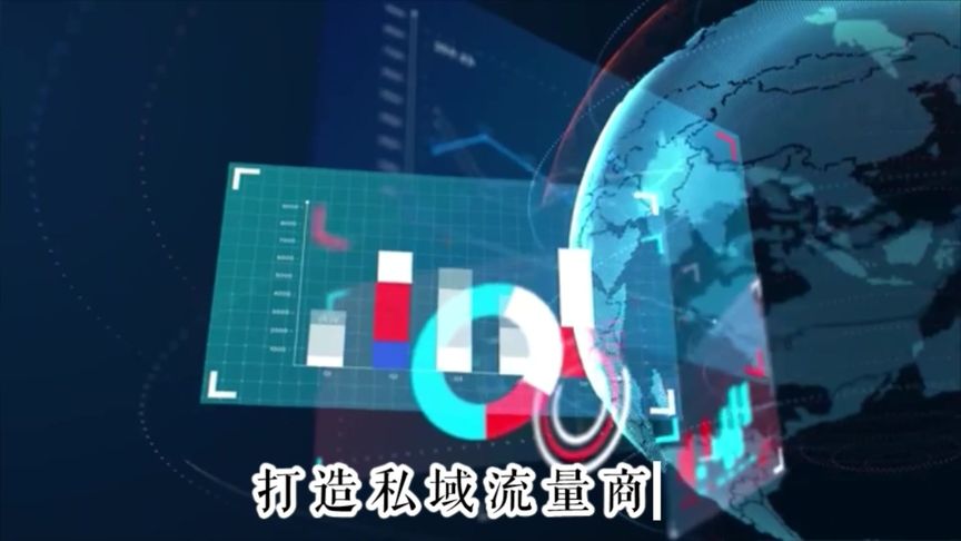 想做跨境电商吗?想知道SaaS系统的用处吗?#跨境电商 #私域流量