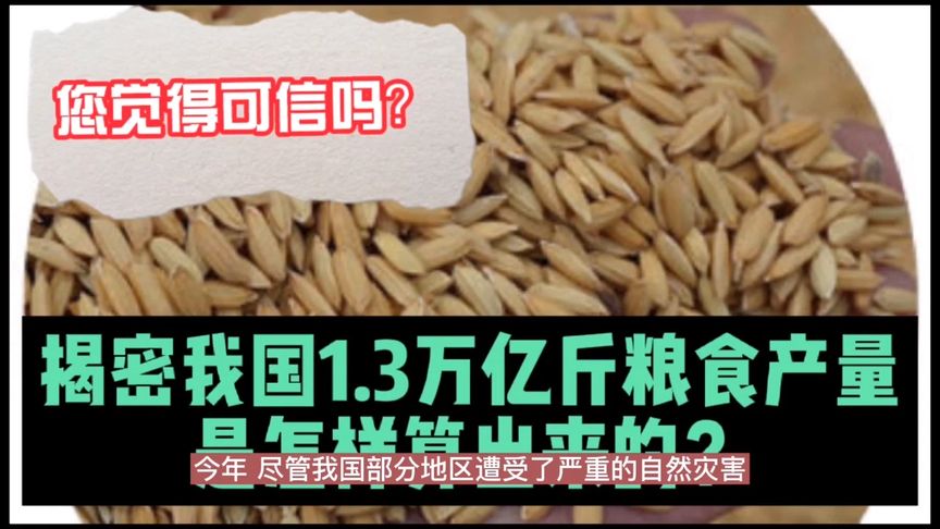 揭密我国1.3万亿斤粮食产量是怎样算出来的?您觉得可信吗?