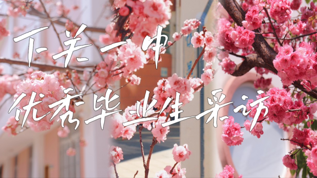 下关一中2024届高考优秀毕业生采访视频