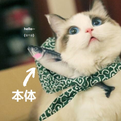 肥宅tashiro 
