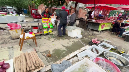 农场一直在亏损,道哥还要增加经营项目?赶紧炖锅大鱼压