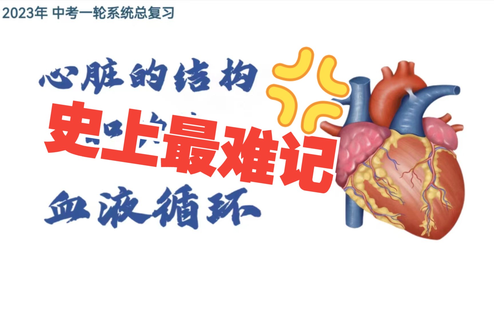 【中考生物】精讲难点:心脏和血液循环 | 七下 | 2024版最新中考