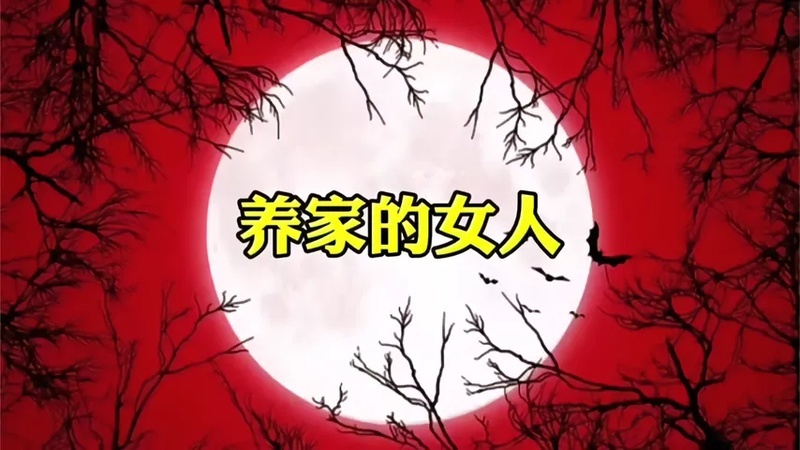 养家的女人 ,真实案件 ,记录记实案件真实故事记录