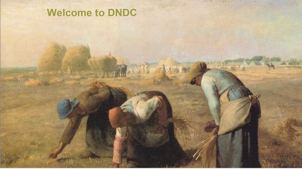 DNDC模型教学