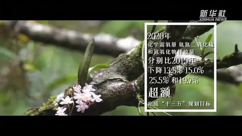 数说新中国75年|生态环境质量持续改善 美丽中国建设全面推进