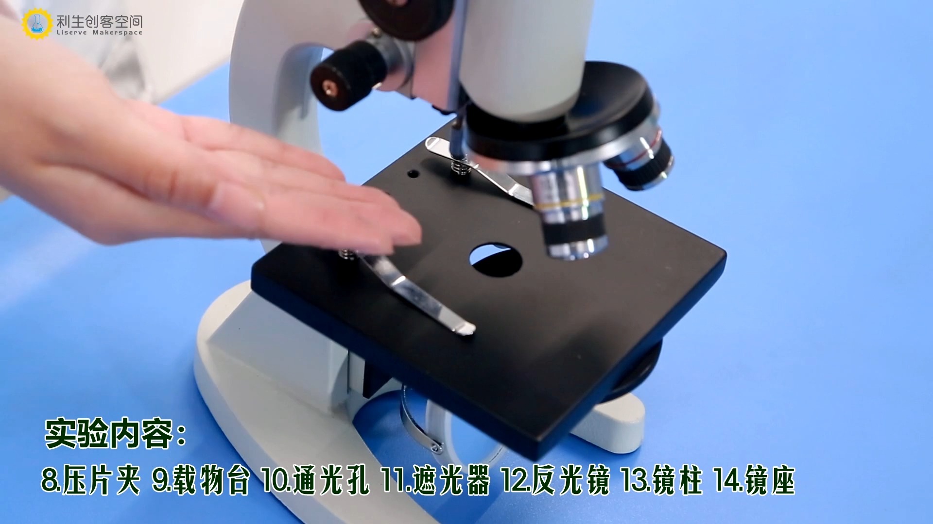 10-认识显微镜的结构