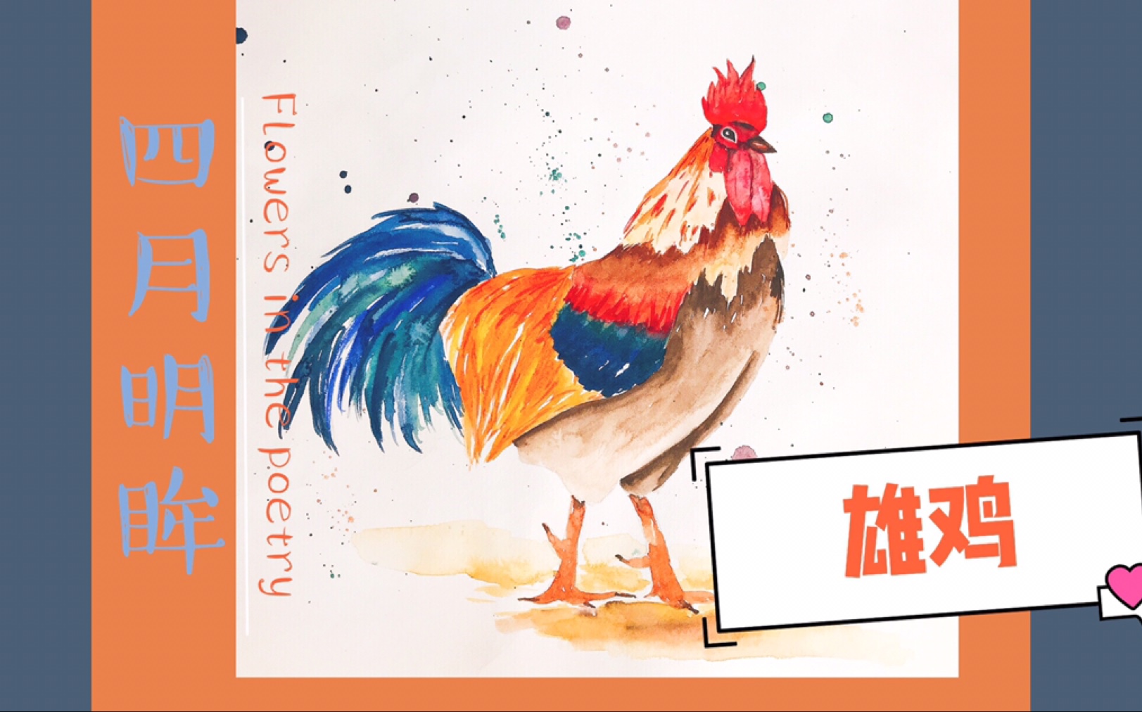【画一只颜色鲜艳的雄鸡】橙色和蓝色对比色配色 水彩手绘 Rooster 【...
