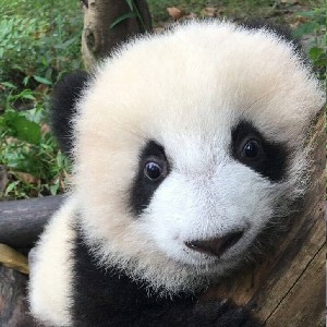 爱成就奇一肉肉 