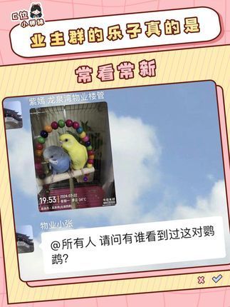 业主群的乐子真的是常看常新 #聊天记录 #搞笑 #业主群 #娱乐评论大赏