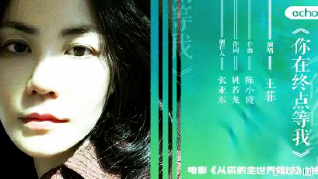 王菲的歌,总能在最恰当的时候打动人《从你的全世界路过》片尾曲