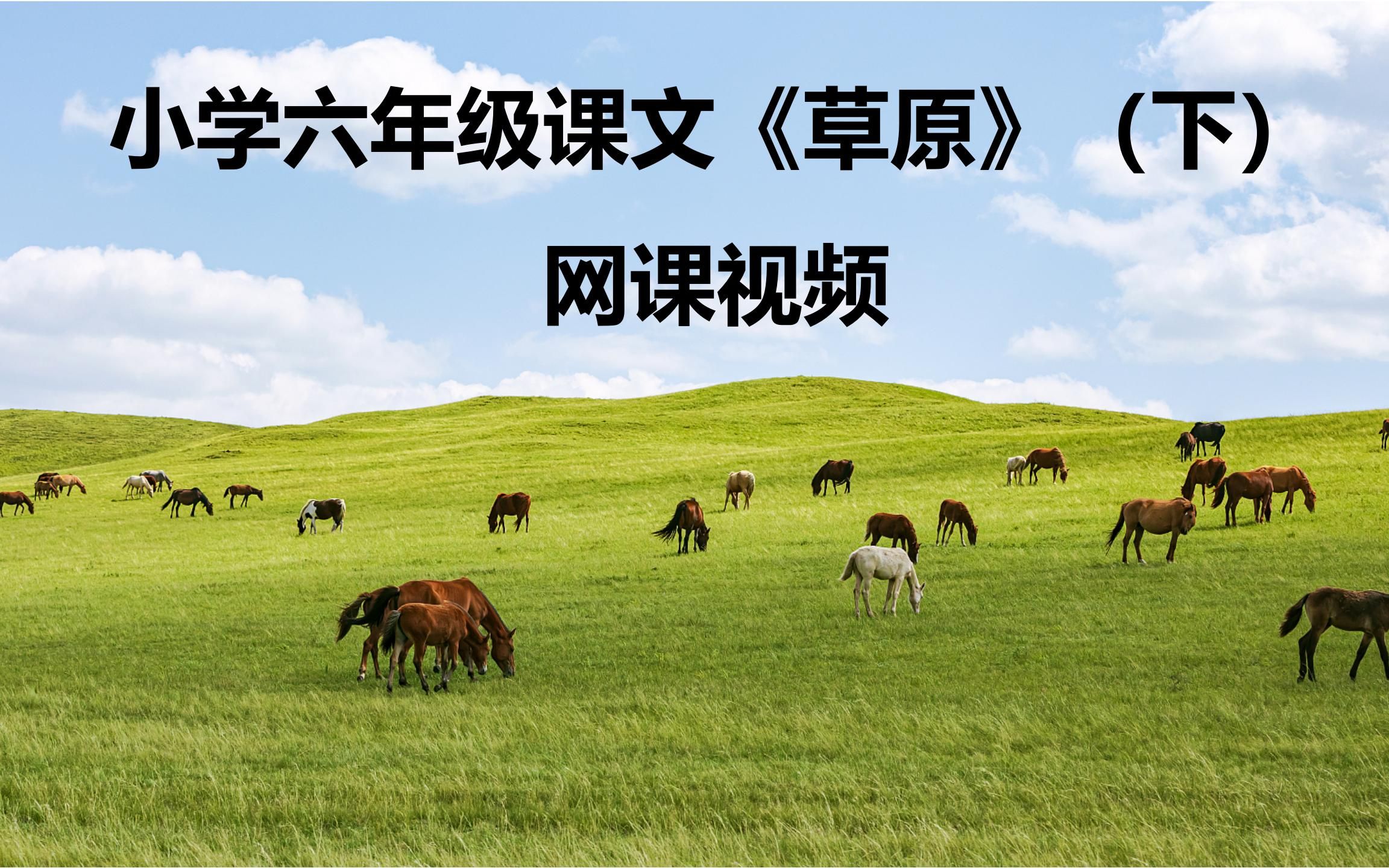 小学六年级课文《草原》(下)网课视频