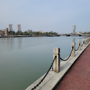 南京章鱼哥 
