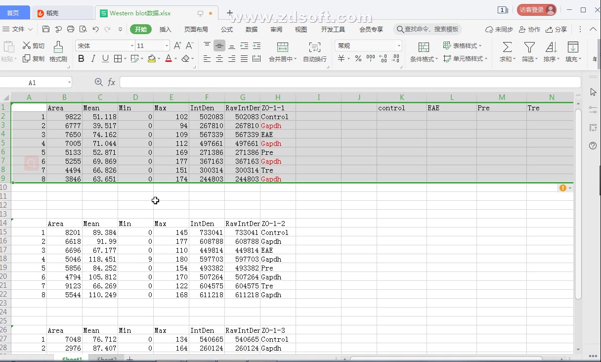 利用excle表格对western blot中Image J软件计算的灰度值进行数据的处理