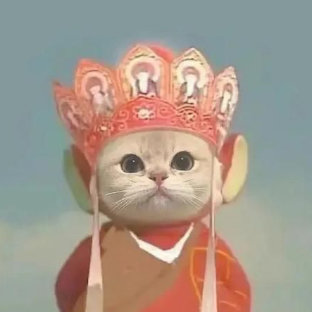 看遍全球社会 