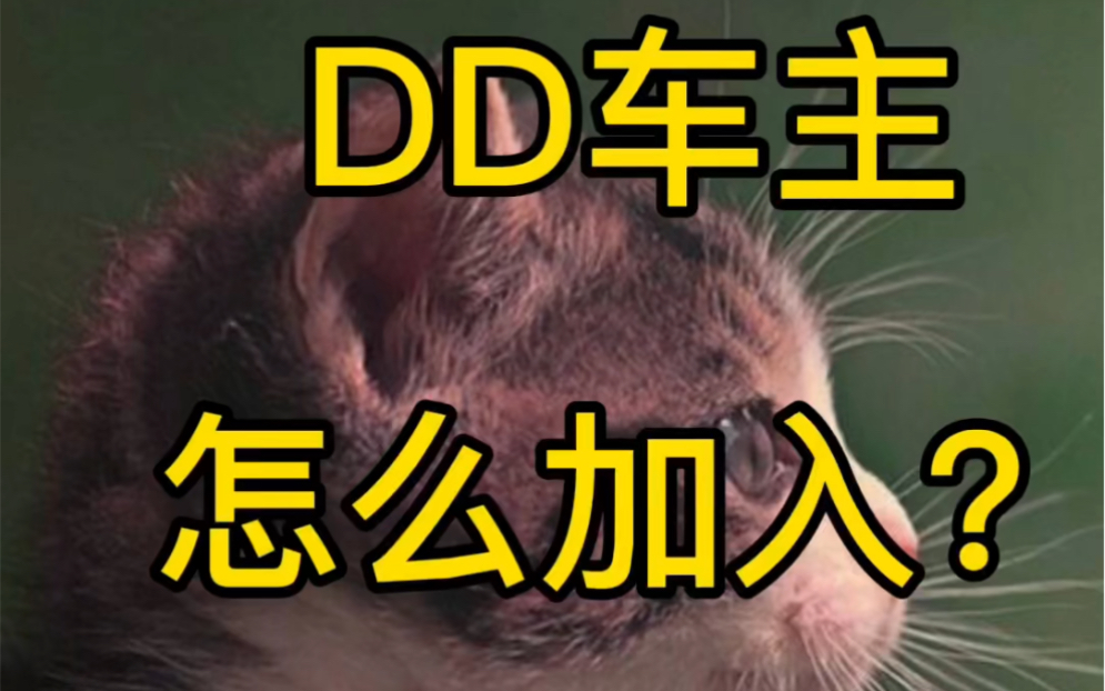 滴滴司机车主注册安装教程及方法,滴滴注册流程