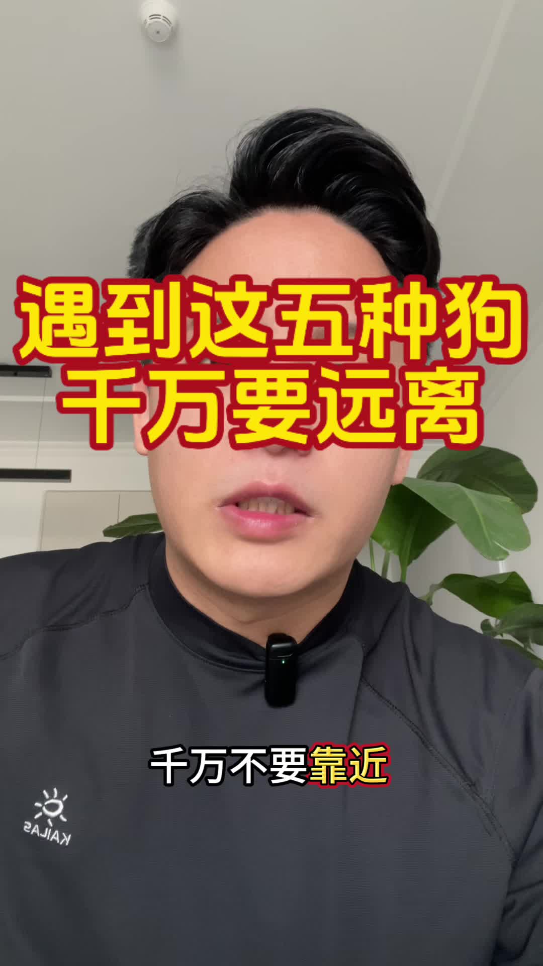 碰到这五种狗 千万要远离#养狗经验分享 #狂犬病 #养狗小知识 #宠物...