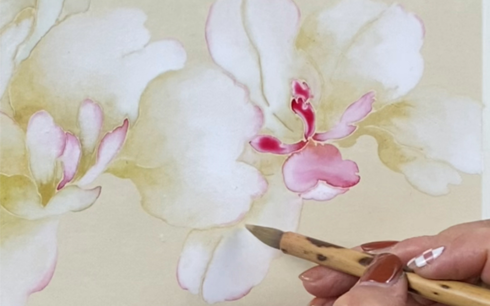 中国画—兰花的没骨画法