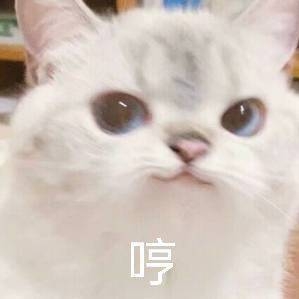 卡尔兰斯 