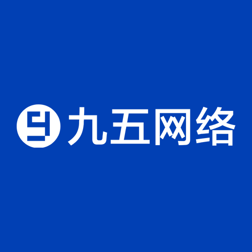 九五网络科技 