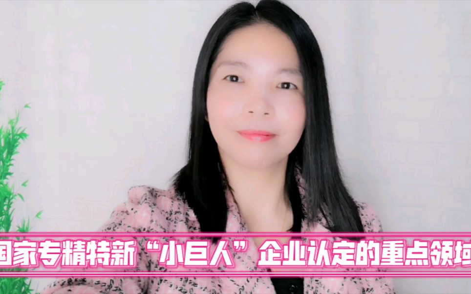 国家专精特新“小巨人”企业认定的重点领域