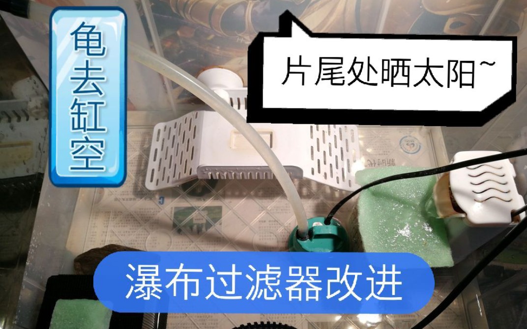 龟缸瀑布式过滤器改进~自欺欺人篇