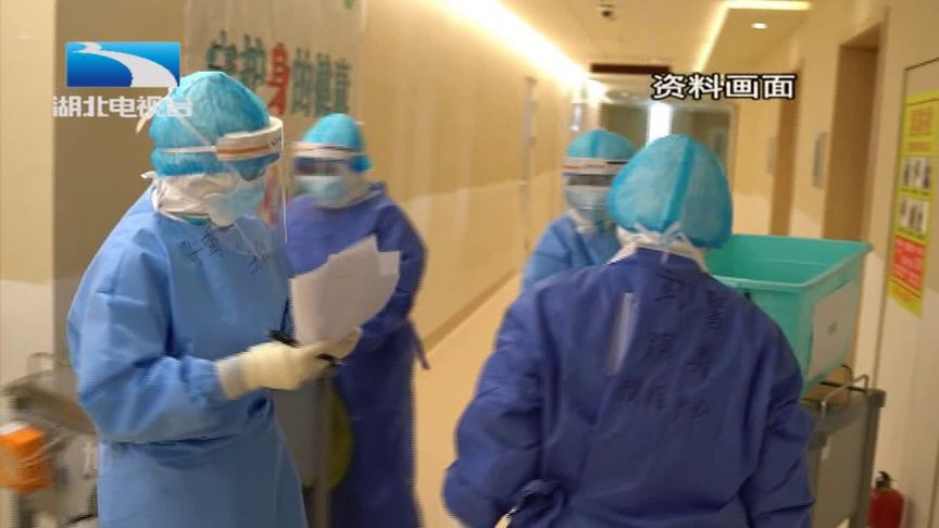 加强基层公共卫生力量,在鄂代表们这样建议