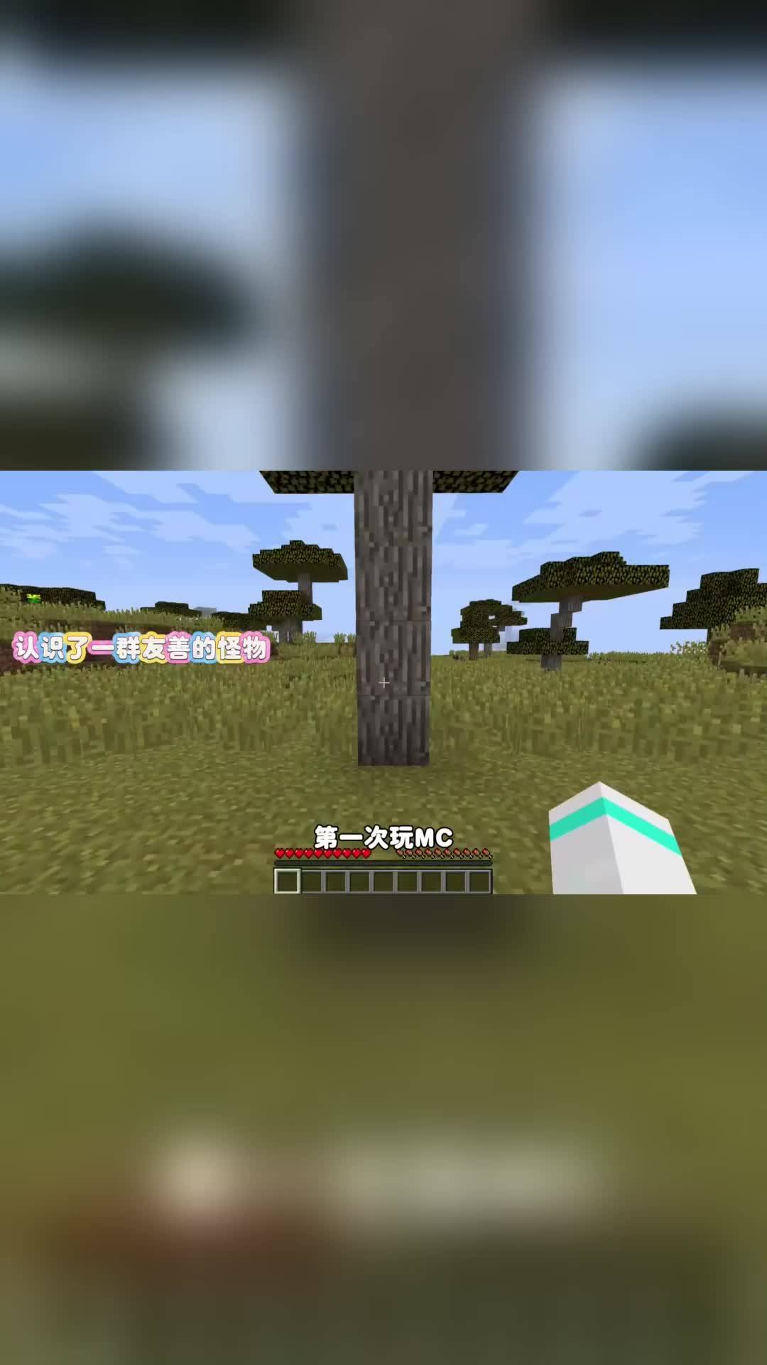 我的世界:没想到刚玩MC就遇到那么多友好的生物