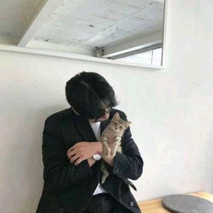 晚风迎落日 