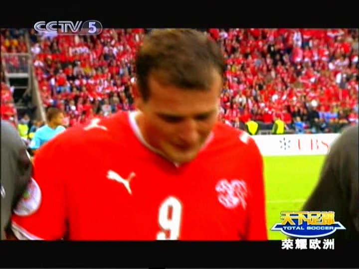 2008年欧洲杯纪录片《荣耀欧洲》