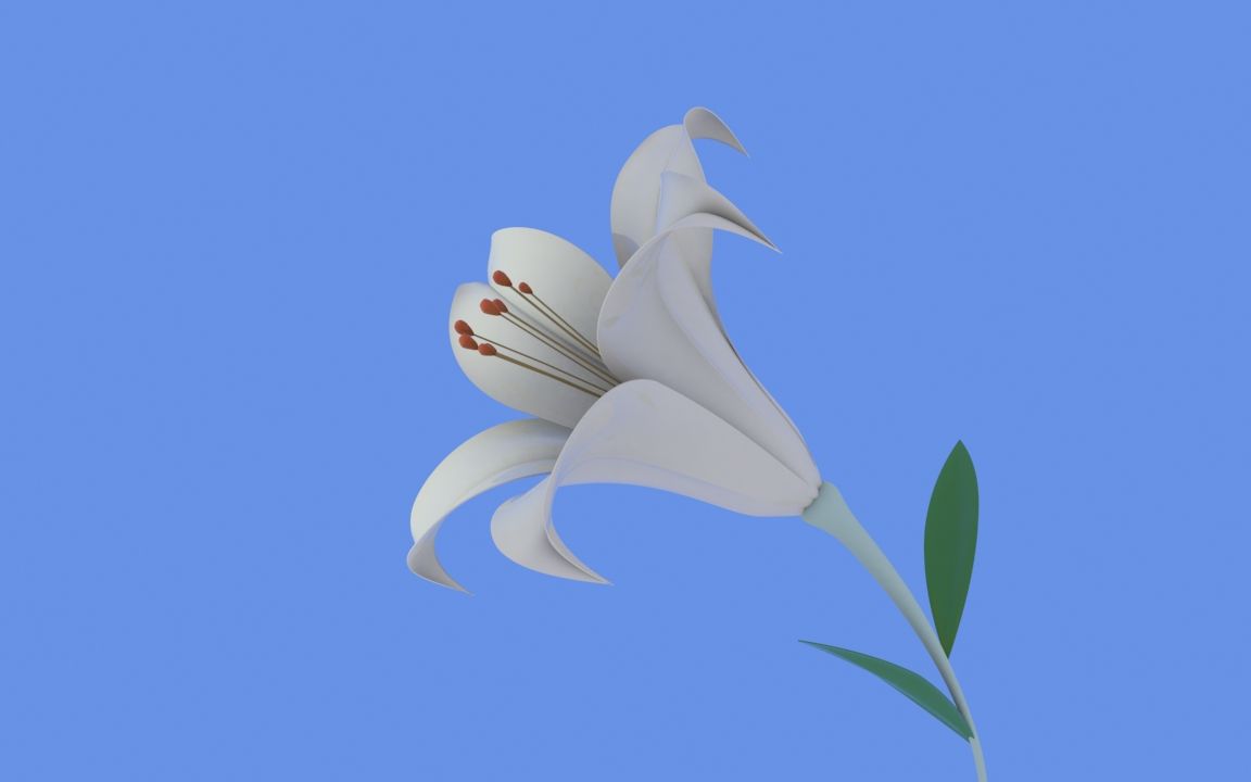 3dmax面片建模_百合花01